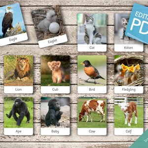 ANIMALS' BABIES • 108 Editable Montessori Cards • Flash Cards ...