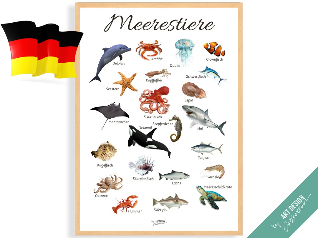 OCEAN ANIMALS POSTER German Edition • Montessori Poster • Montessori ...