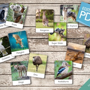 AUSTRALIAN ANIMALS • 32 Editable Montessori Cards • Flash Cards ...