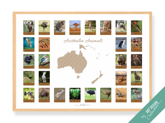 AUSTRALIA ANIMALS Poster Montessori Poster Montessori | Etsy