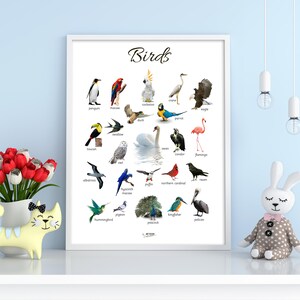 BIRDS POSTER • Montessori Poster • Montessori Educational Homeschooling ...