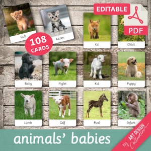 ANIMALS' BABIES 108 Editable Montessori Cards Flash Cards Nomenclature ...