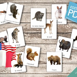 FOREST ANIMALS FRENCH Edition • 22 French and 22 English Editable ...
