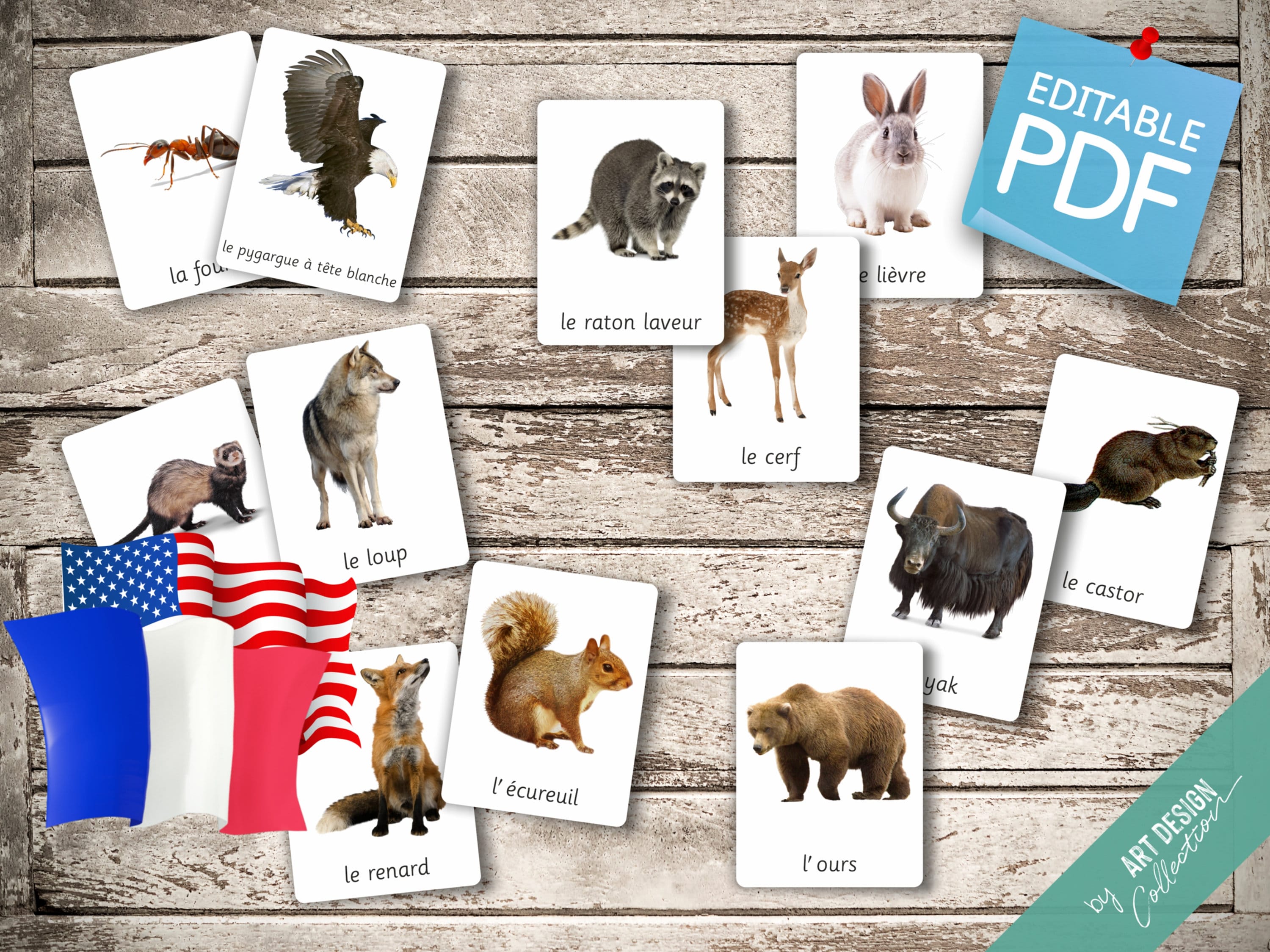 FOREST ANIMALS FRENCH Edition 22 French and 22 English - Etsy Canada