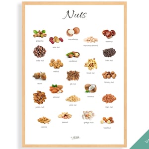 NUTS POSTER Montessori Poster Montessori Educational Homeschooling ...