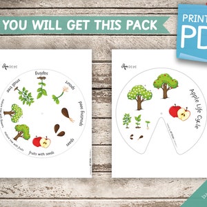 APPLE LIFE CYCLE Wheel • Montessori Busy Book Activity Nomenclature ...