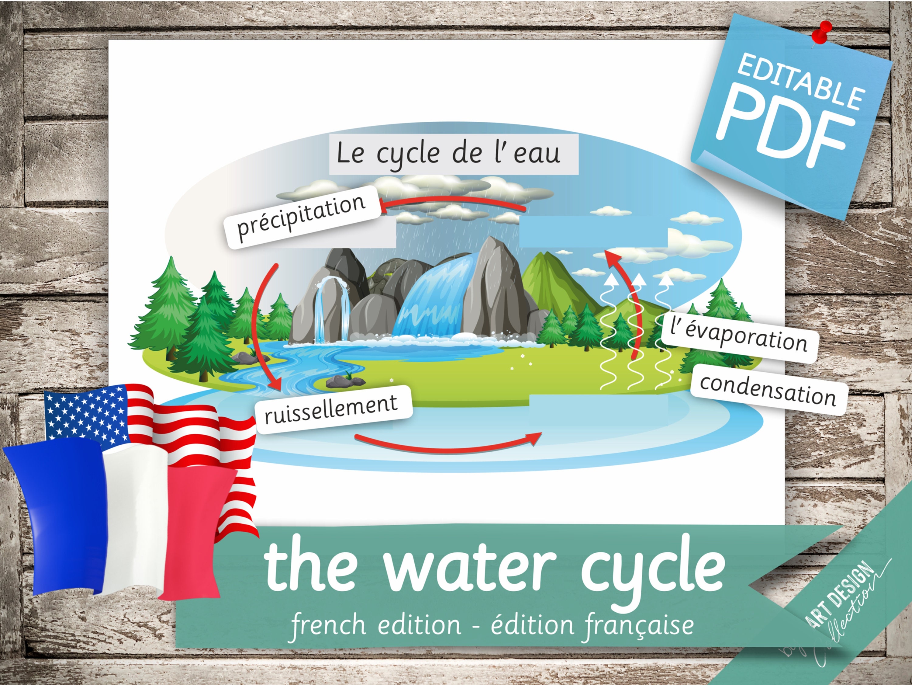 THE WATER CYCLE French Edition • 4 French and 4 English Editable ...