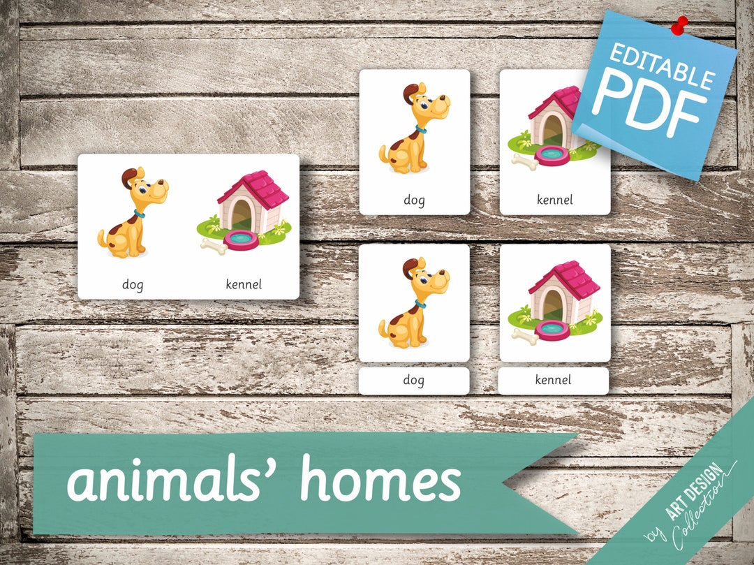 ANIMALS' HOME 63 Montessori Cards Flash Cards Nomenclature Flashcards ...