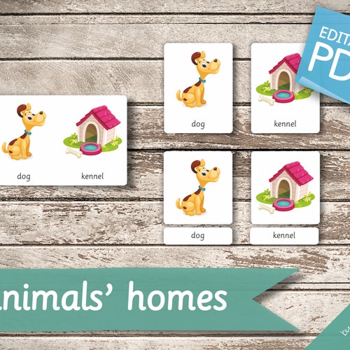 EMOTIONS 24 Editable Montessori Flash Cards PDF Printable - Etsy