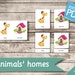 ANIMALS' HOME 63 Montessori Cards Flash Cards Nomenclature Flashcards ...