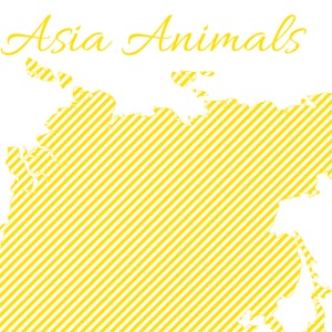 ASIA ANIMALS Poster • Montessori Poster • Montessori Educational ...