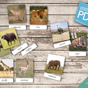SAFARI ANIMALS • 36 Editable Montessori Cards • Flash Cards ...