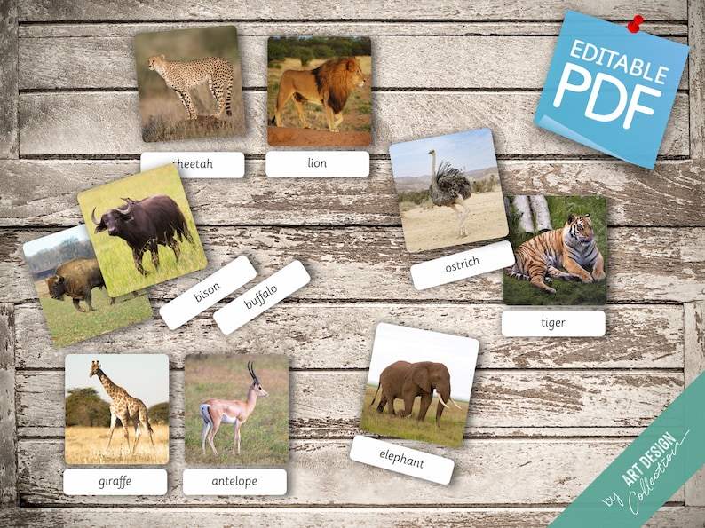 SAFARI ANIMALS • 36 Editable Montessori Cards • Flash Cards ...