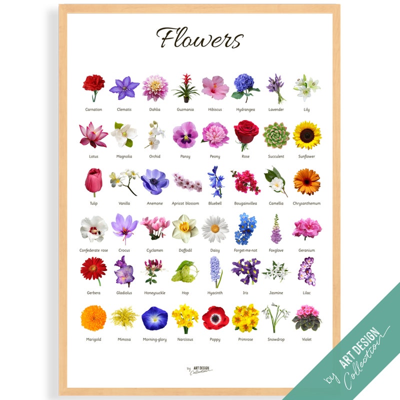 Flower Poster - Etsy Australia