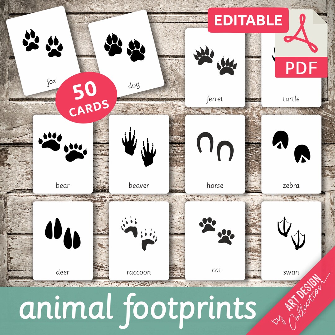 ANIMAL FOOTPRINTS 50 Montessori Cards Flash Cards Nomenclature ...