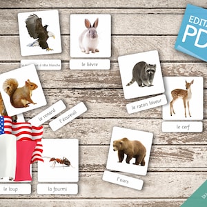 FOREST ANIMALS FRENCH Edition • 22 French and 22 English Editable ...