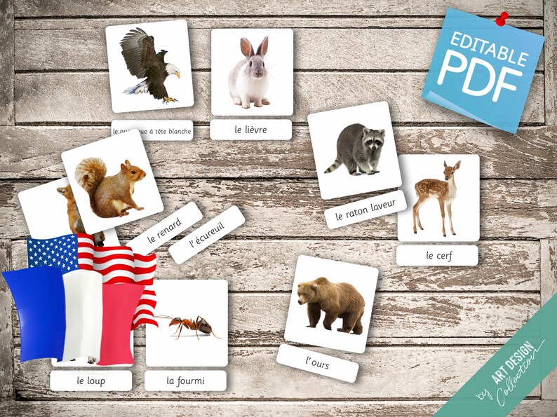 FOREST ANIMALS FRENCH Edition 22 French and 22 English - Etsy Canada