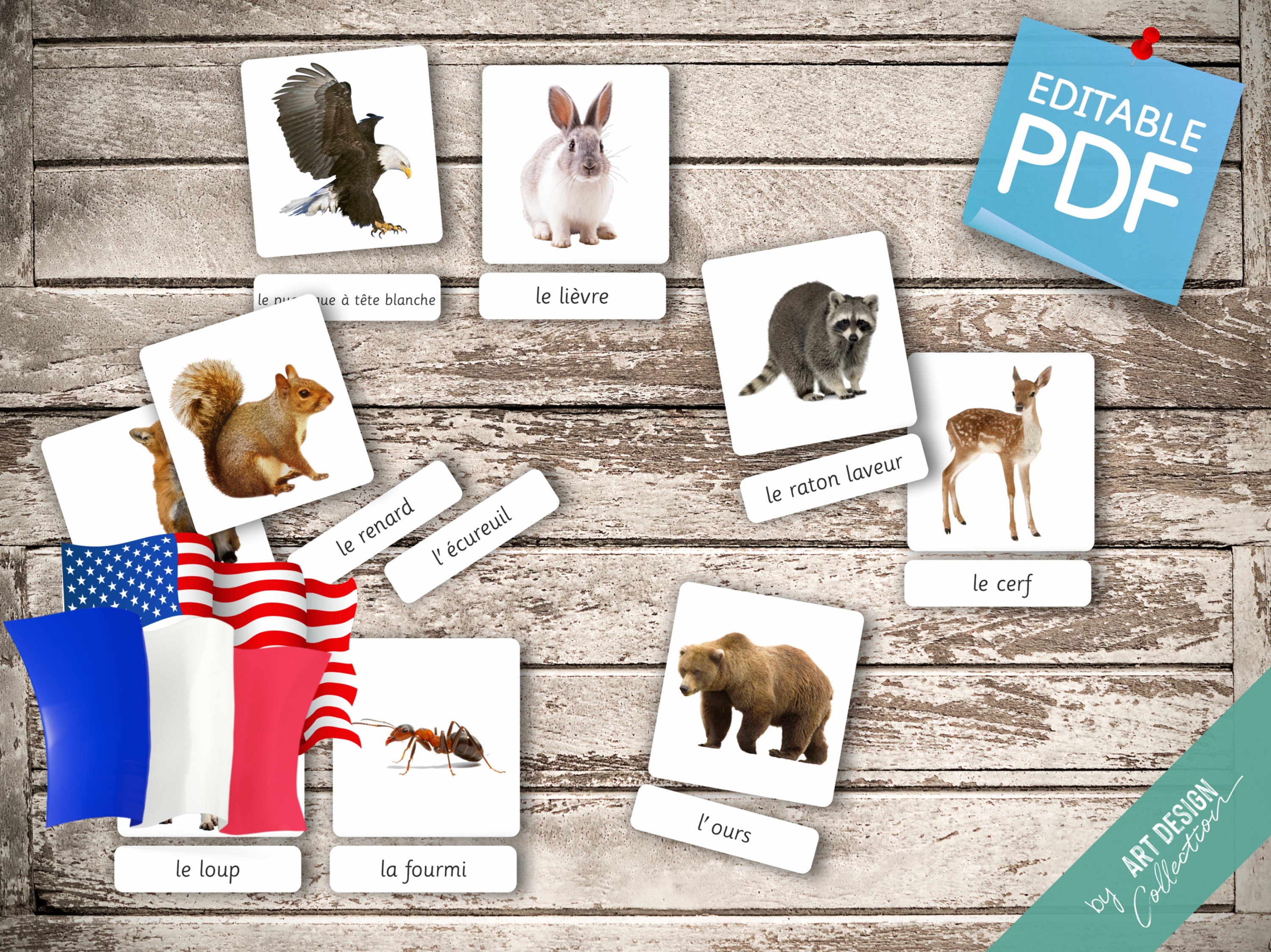 FOREST ANIMALS FRENCH Edition 22 French and 22 English - Etsy Canada