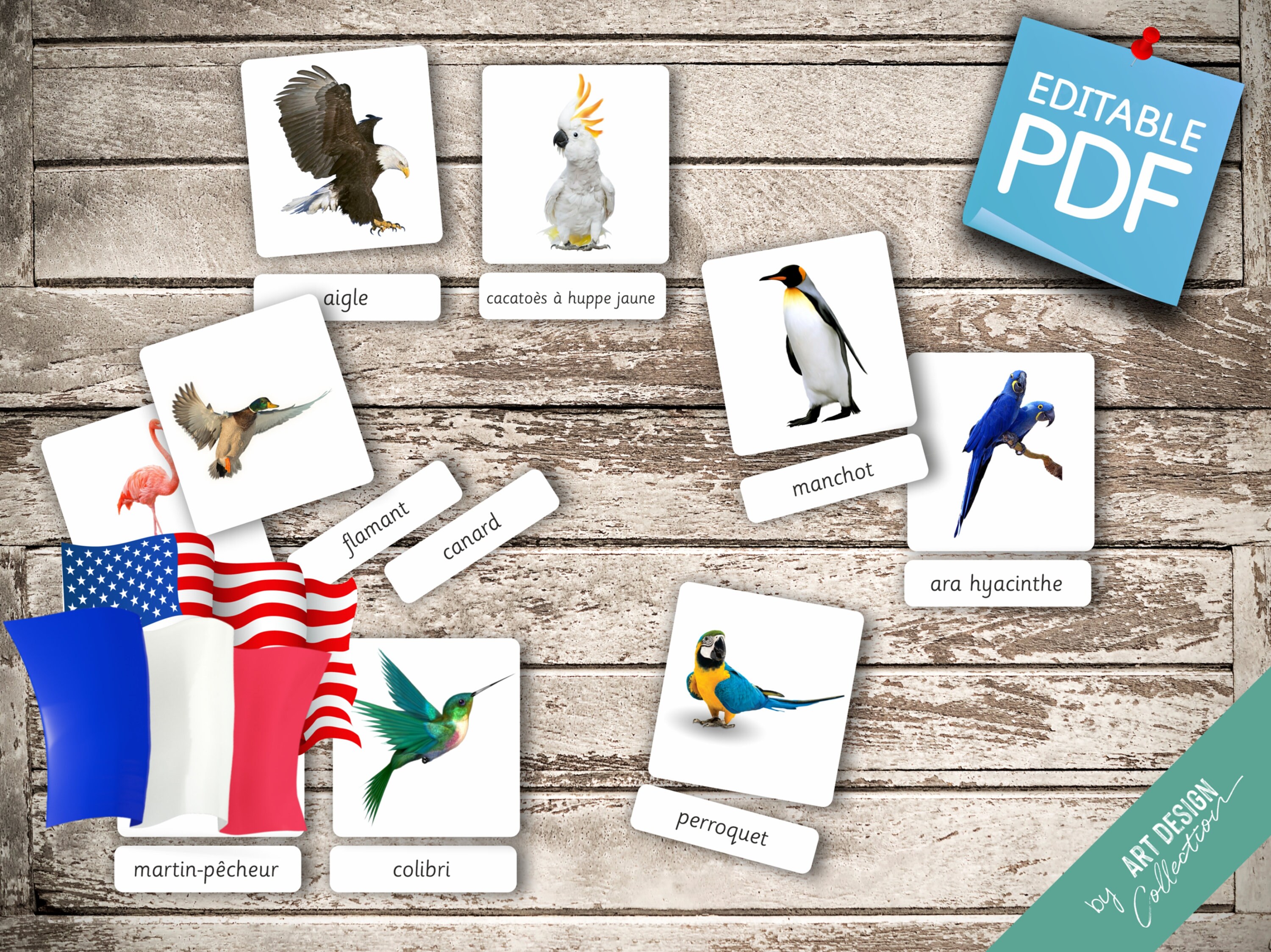 BIRDS (real Pictures) FRENCH Edition • 30 French and 30 English ...