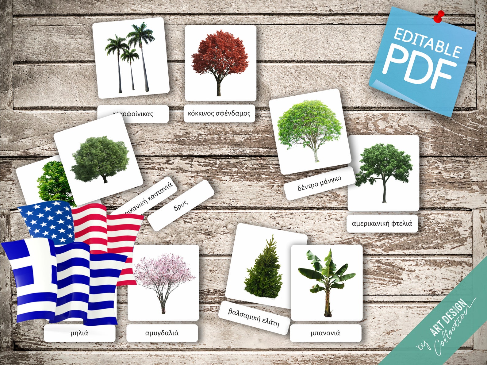 TREES real Pictures GREEK Edition 32 Greek and 32 English - Etsy