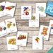 TOYS 46 Montessori Cards Flash Cards Nomenclature Flashcards Editable ...