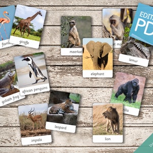 AFRICA ANIMALS • 28 Editable Montessori Cards • Flash Cards ...