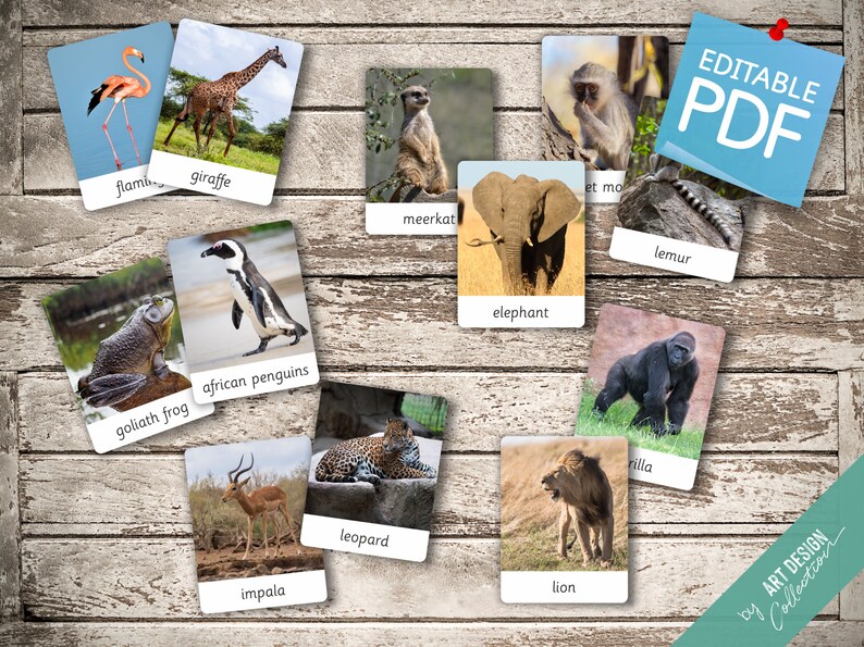 AFRICA ANIMALS • 28 Editable Montessori Cards • Flash Cards ...