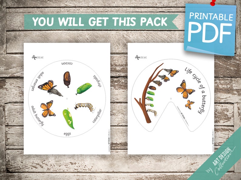 LIFE CYCLE of a BUTTERFLY Wheel • Montessori Busy Book Activity ...
