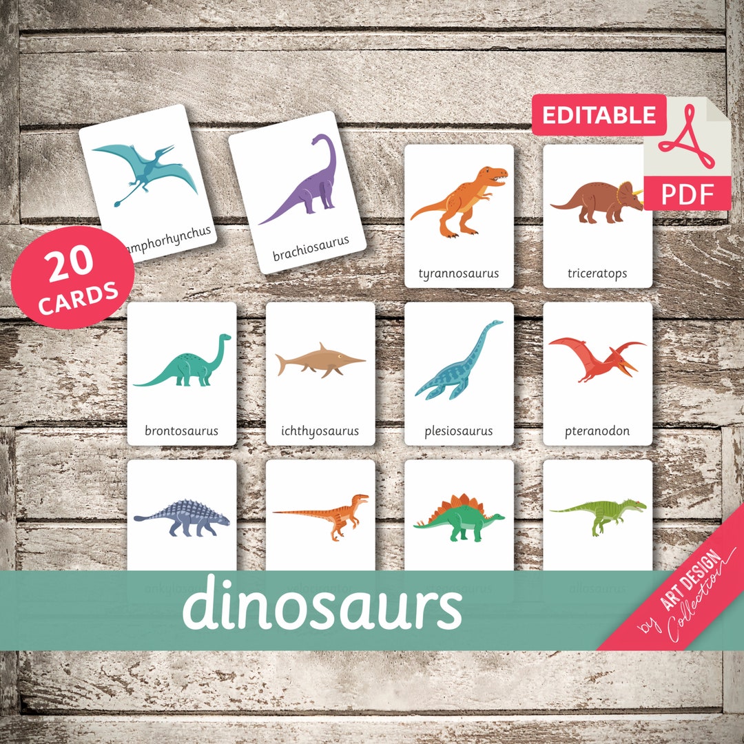 DINOSAURS • 20 Editable Montessori Cards • Flash Cards Nomenclature ...