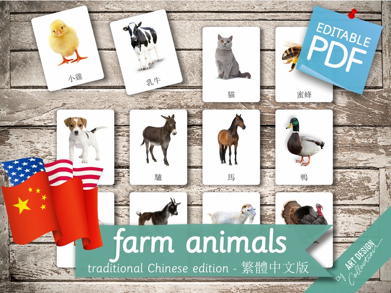 FARM ANIMALS CHINESE Edition 22 Simplified Chinese 22 - Etsy