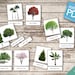 TREES (real Pictures) • 32 Editable Montessori Cards • Flash Cards ...