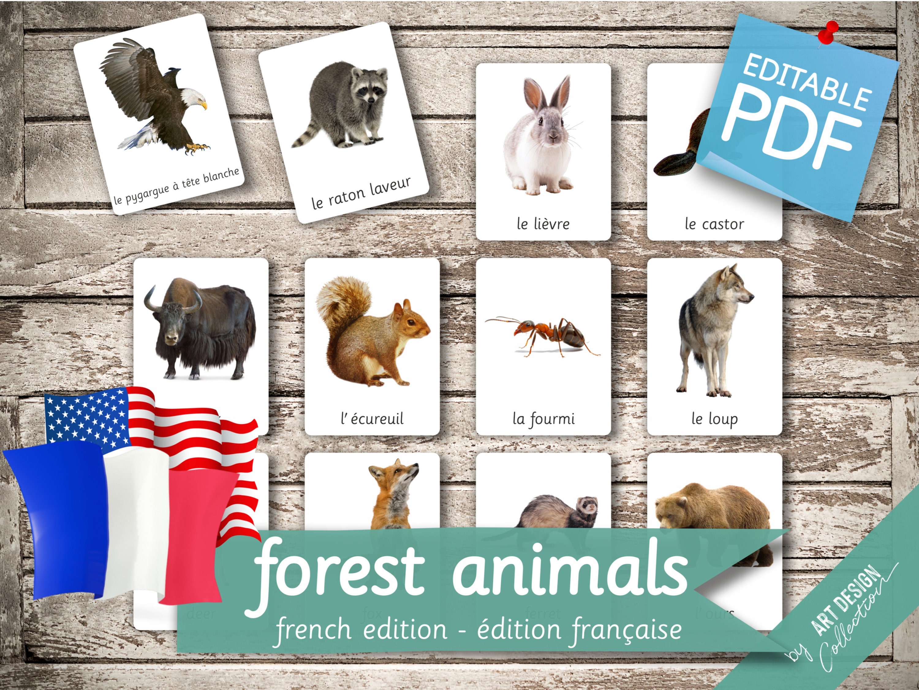FOREST ANIMALS FRENCH Edition 22 French and 22 English - Etsy Canada