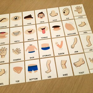 BODY PARTS • 24 Montessori Cards • Flash Cards Nomenclature Flashcards ...