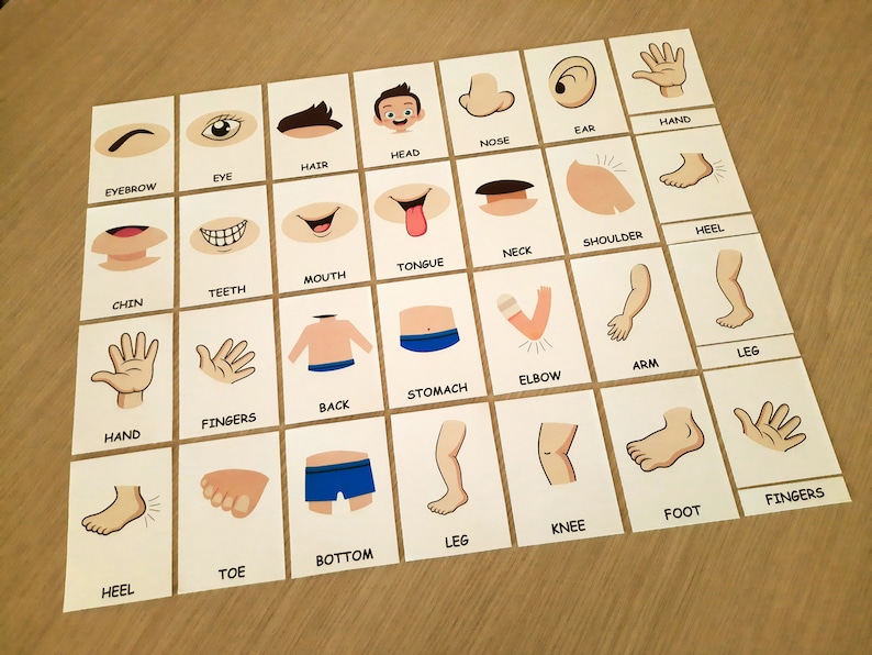 BODY PARTS • 24 Montessori Cards • Flash Cards Nomenclature Flashcards ...
