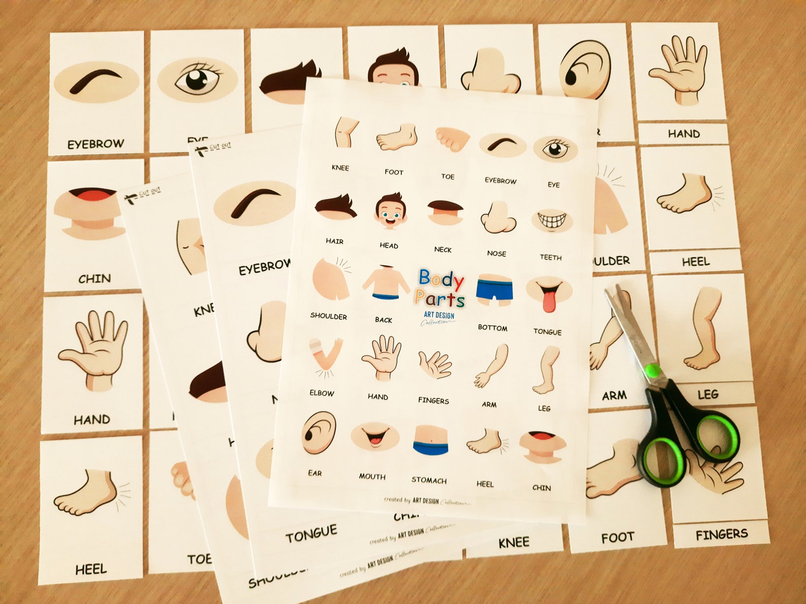 BODY PARTS • 24 Montessori Cards • Flash Cards Nomenclature Flashcards ...