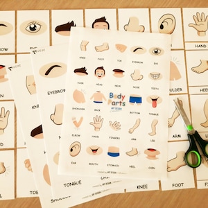 BODY PARTS • 24 Montessori Cards • Flash Cards Nomenclature Flashcards ...