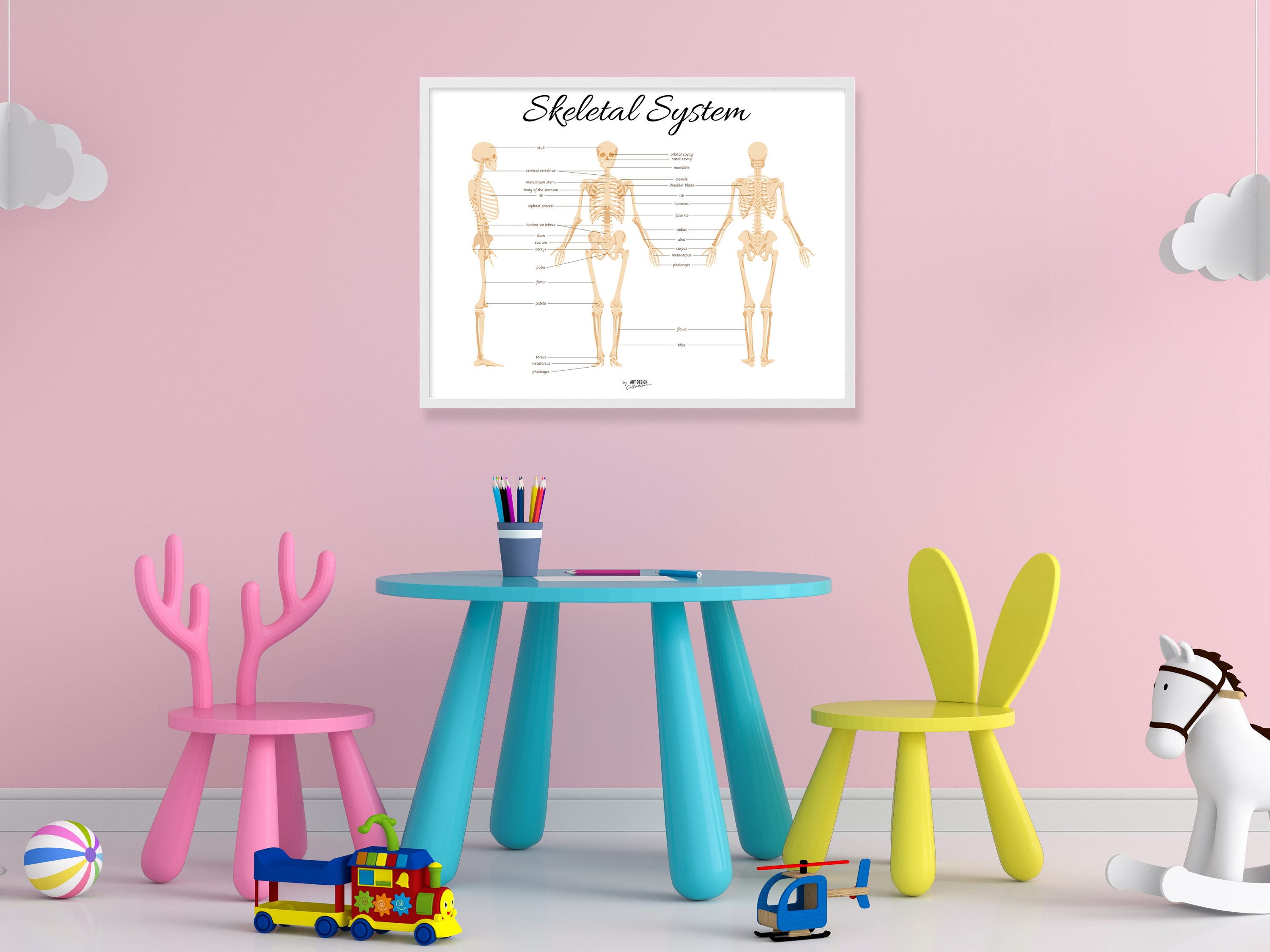 SKELETAL SYSTEM • Montessori Poster • Montessori Educational ...