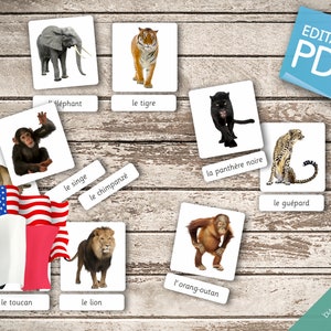 JUNGLE ANIMALS FRENCH Edition • 22 French and 22 English Editable ...