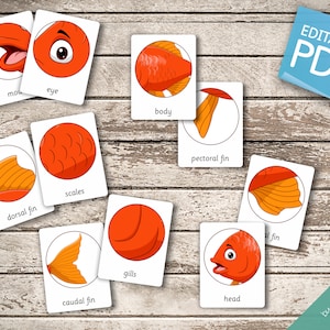 BODY PART of FISH • 11 Montessori Cards • Flash Cards Nomenclature ...