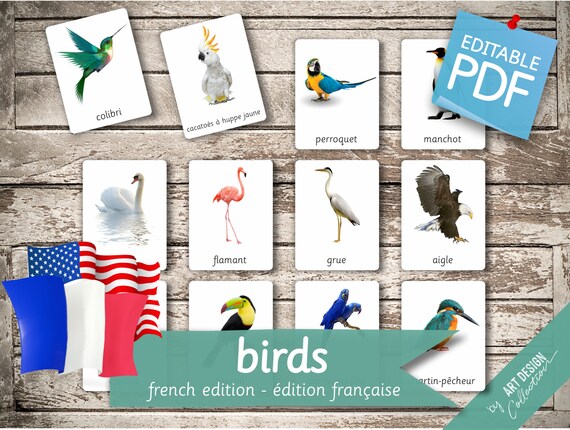 BIRDS real Pictures FRENCH Edition 30 French and 30 | Etsy