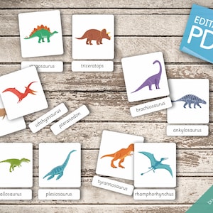 DINOSAURS • 20 Editable Montessori Cards • Flash Cards Nomenclature ...