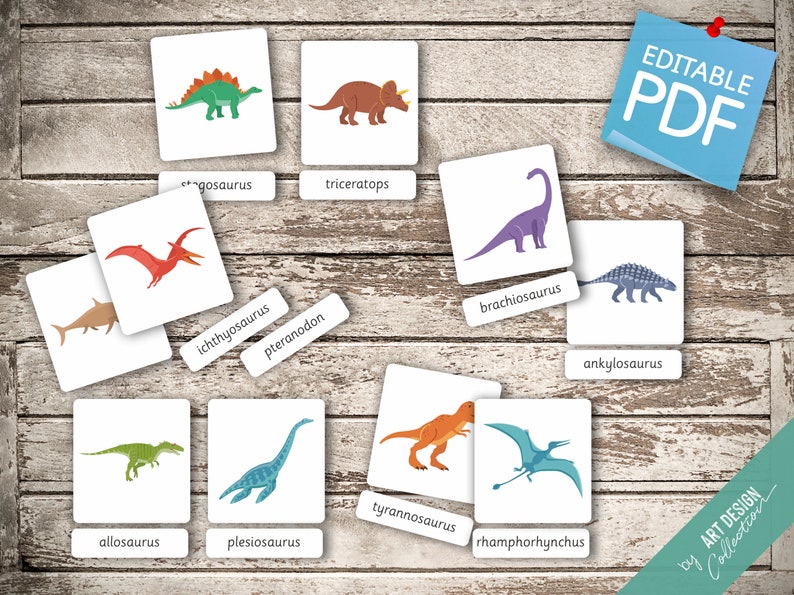 DINOSAURS 20 Editable Montessori Cards Flash Cards - Etsy