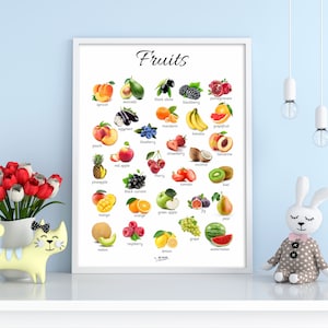 FRUITS POSTER • Montessori Poster • Montessori Educational ...