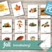 FALL Vocabulary • 40 Editable Montessori Cards • Flash Cards ...