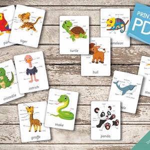 ANIMAL BODY PARTS (part 2) • 104 Editable Montessori Cards • Flash ...