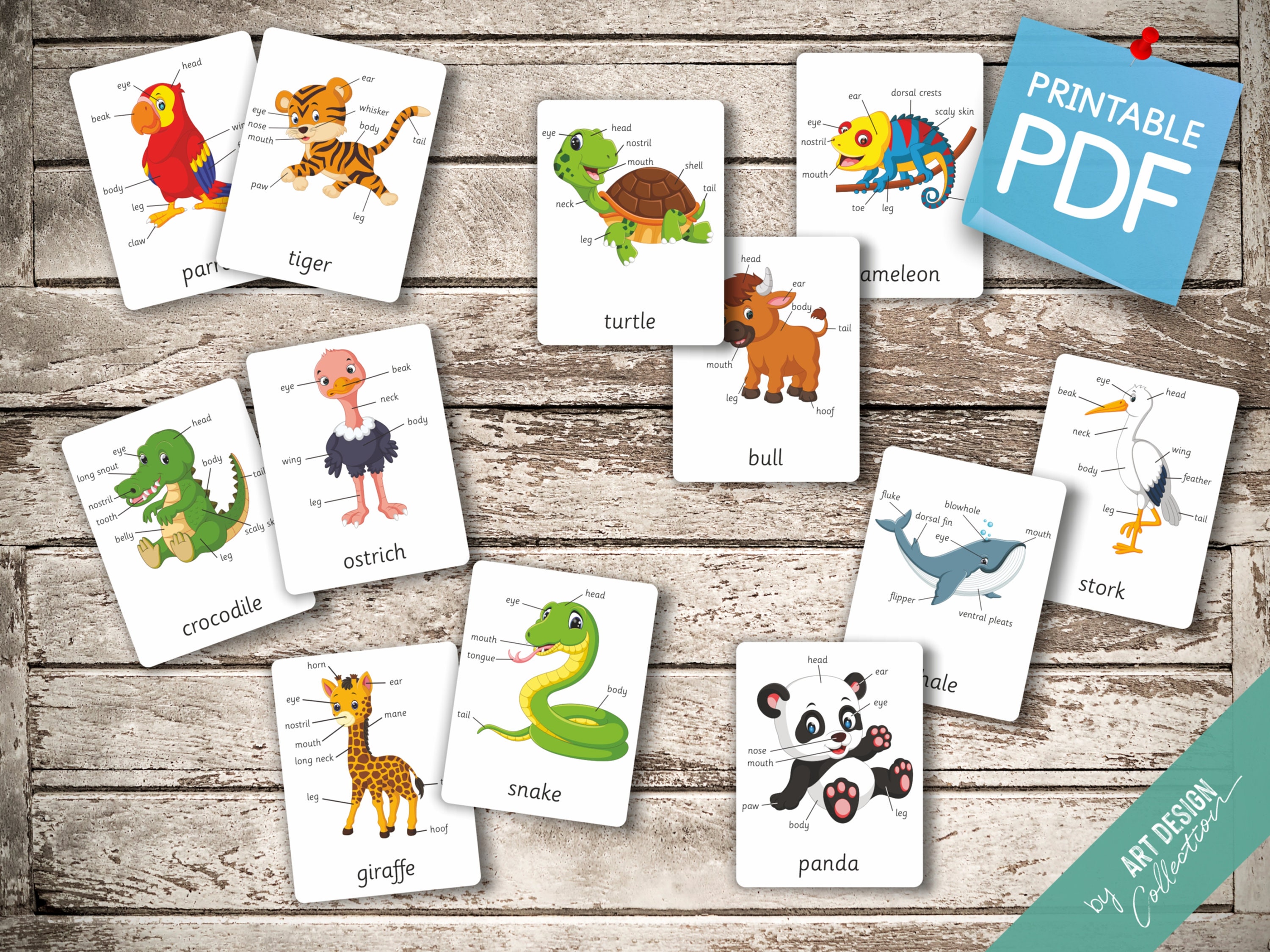 ANIMAL BODY PARTS part 2 104 Editable Montessori Cards | Etsy