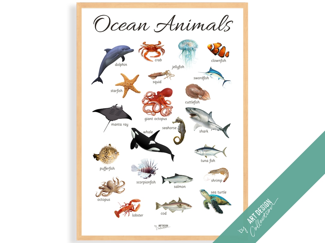 OCEAN ANIMALS POSTER • Montessori Poster • Montessori Educational ...