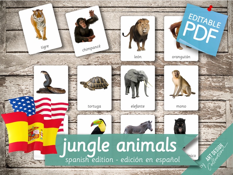 JUNGLE ANIMALS SPANISH Edition • 22 Spanish and 22 English Editable ...