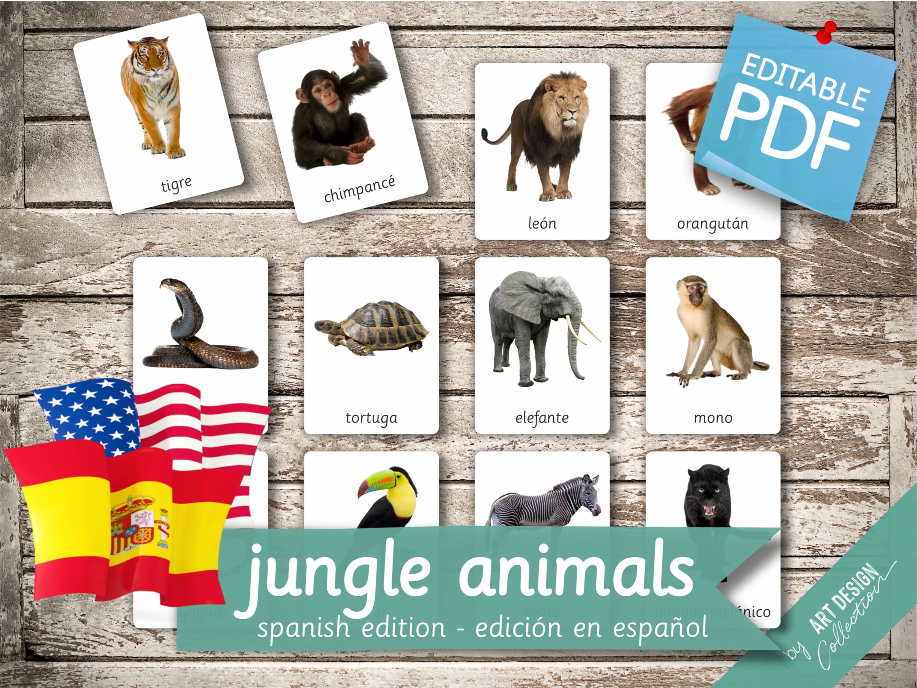 JUNGLE ANIMALS SPANISH Edition • 22 Spanish and 22 English Editable ...