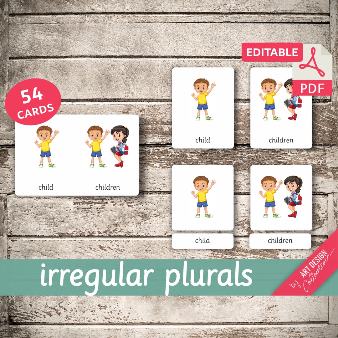 IRREGULAR PLURALS • 54 Montessori Cards • Flash Cards Nomenclature ...